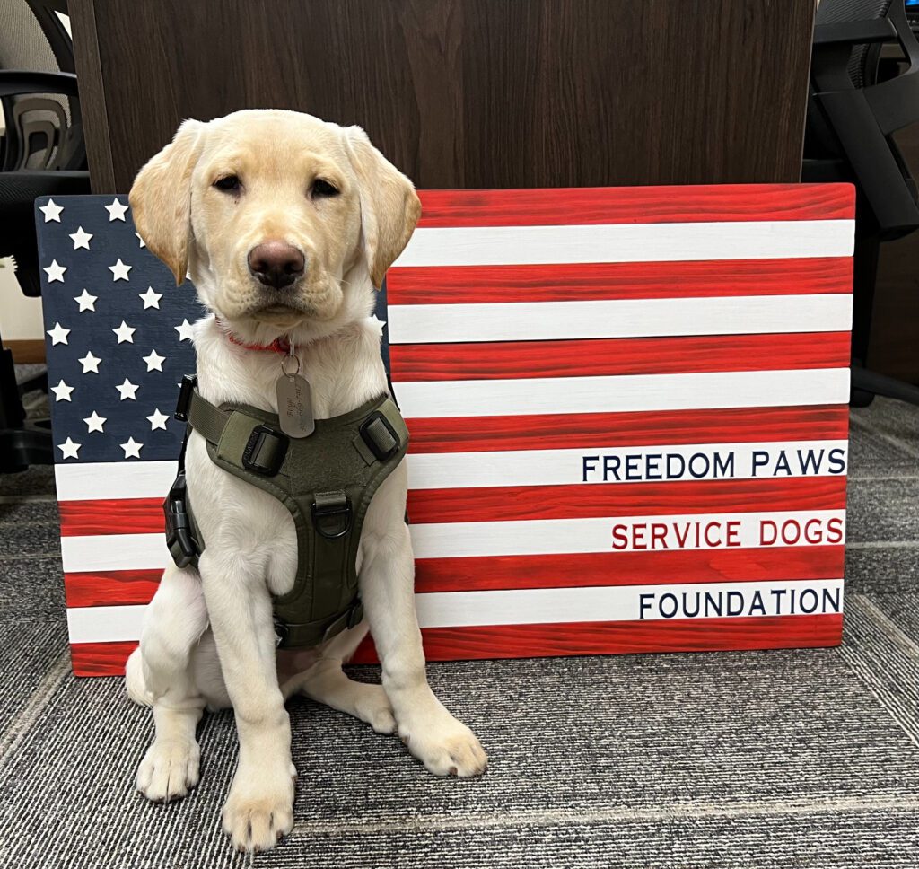 Platnium Puppy Sponsor - Freedom Paws Service Dogs