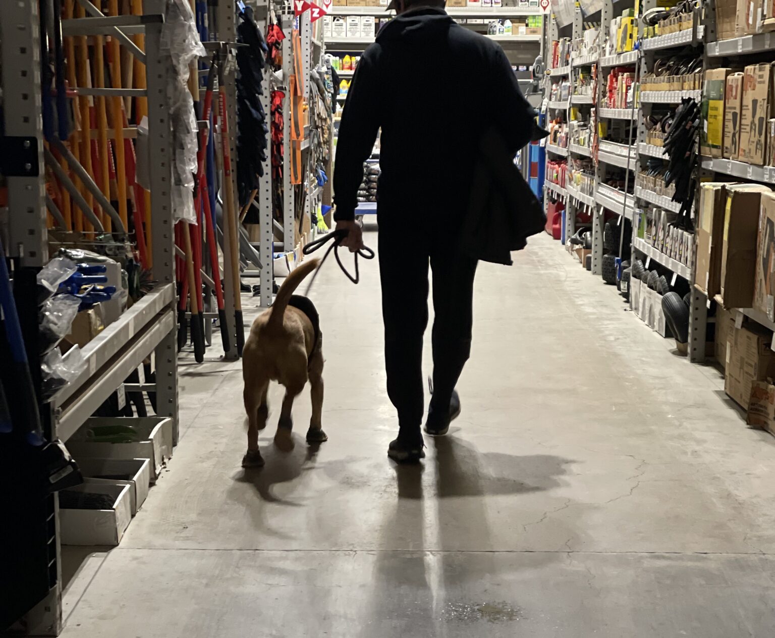 Mission - Freedom Paws Service Dogs